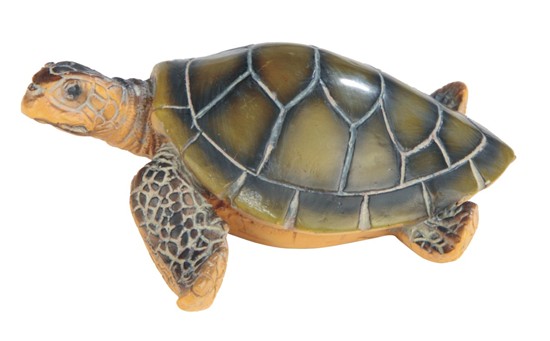 Bird set | GSC Imports