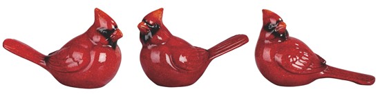 Cardinal set | GSC Imports